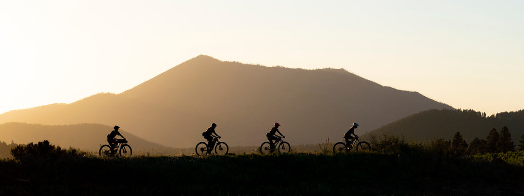 Rogue Panda Designs - Innovative Bikepacking Bags Handmade in AZ ...