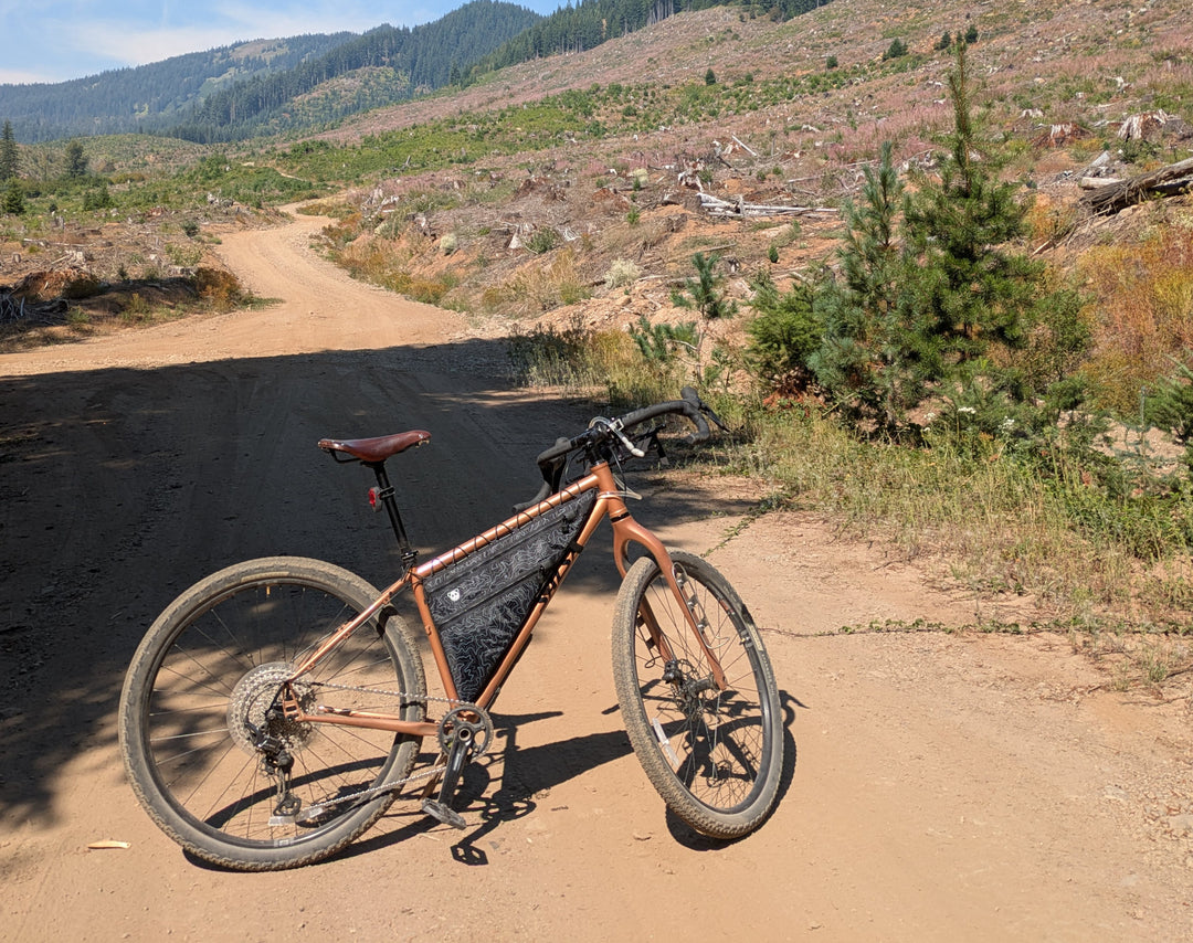 Salsa Fargo Frame Bag Guide – RoguePandaDesigns
