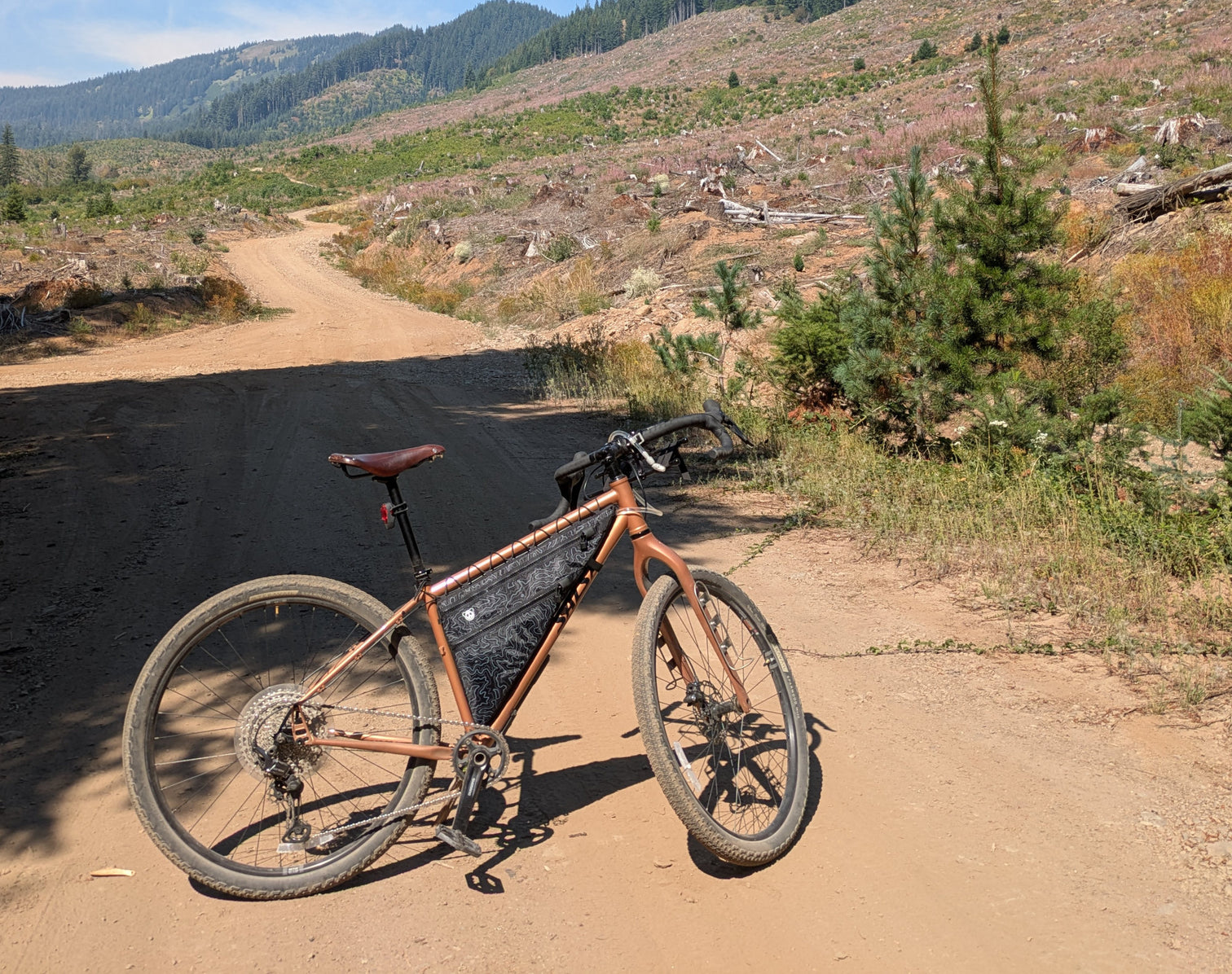 Salsa Fargo Frame Bag Guide – RoguePandaDesigns